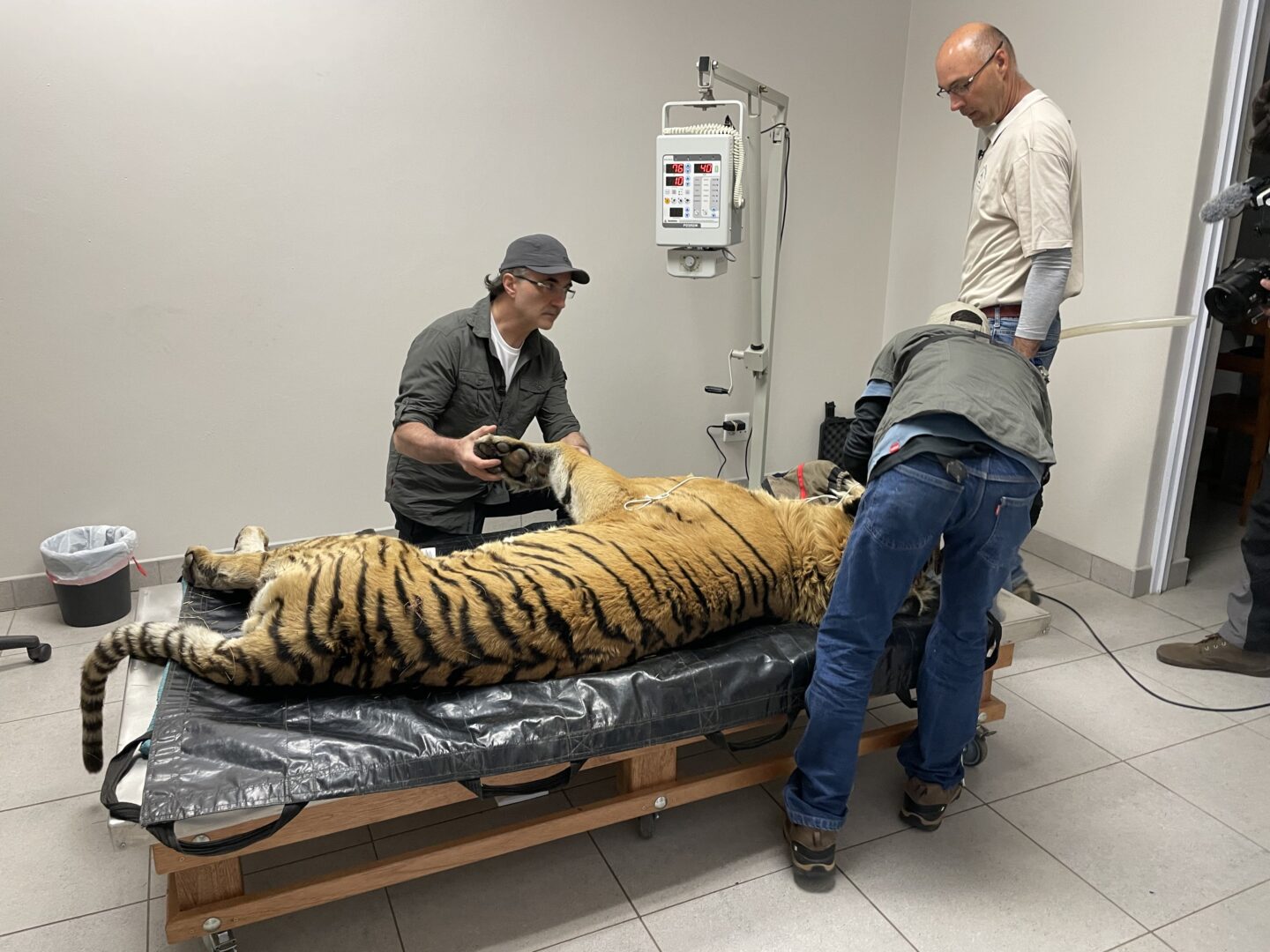 Professor Noel Fitzpatrick - Fitzpatrick Referrals