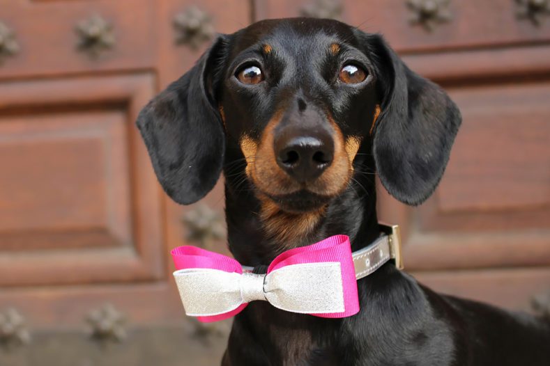 Fiona Doubleday - Fitzpatrick Referrals