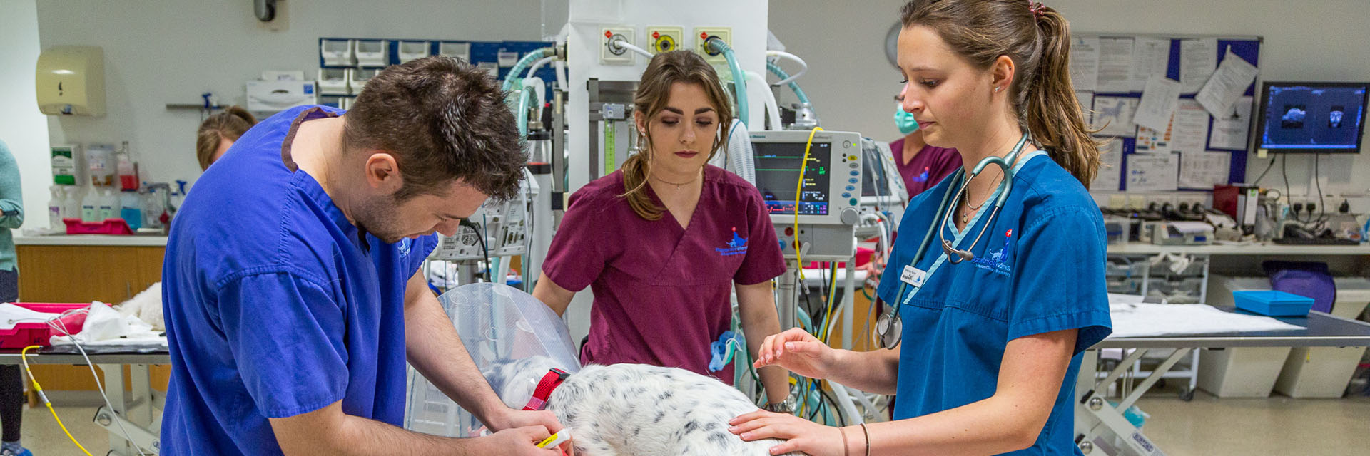 Experience Referral Nursing with Fitzpatrick Referrals - Fitzpatrick Referrals