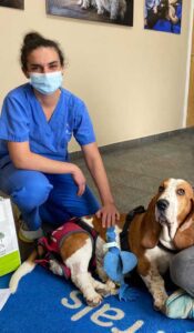 Neurology service - Fitzpatrick Referrals