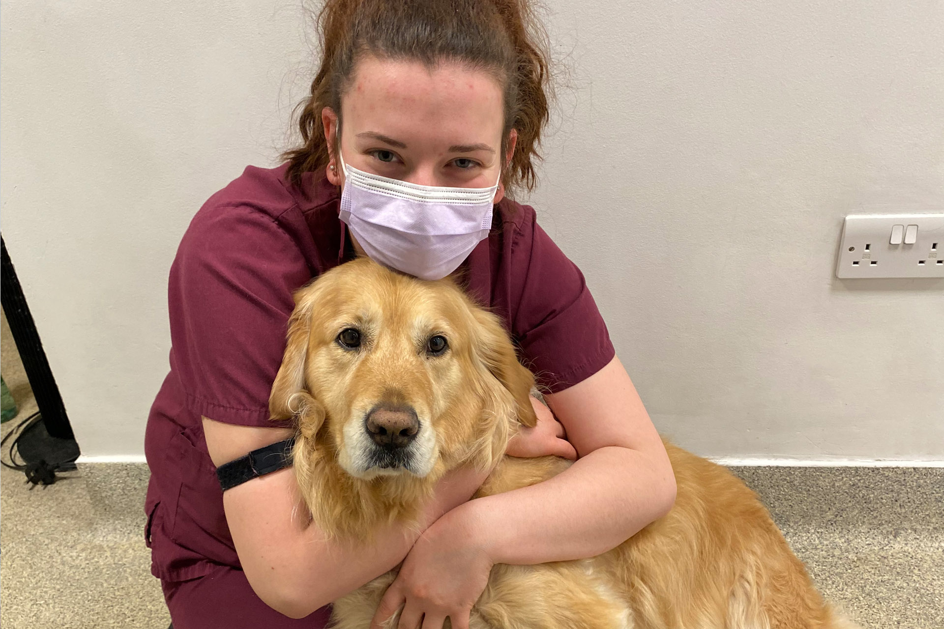 How I got into the veterinary profession by Prep Auxiliary Emily - 13 July 2022 - Fitzpatrick ...