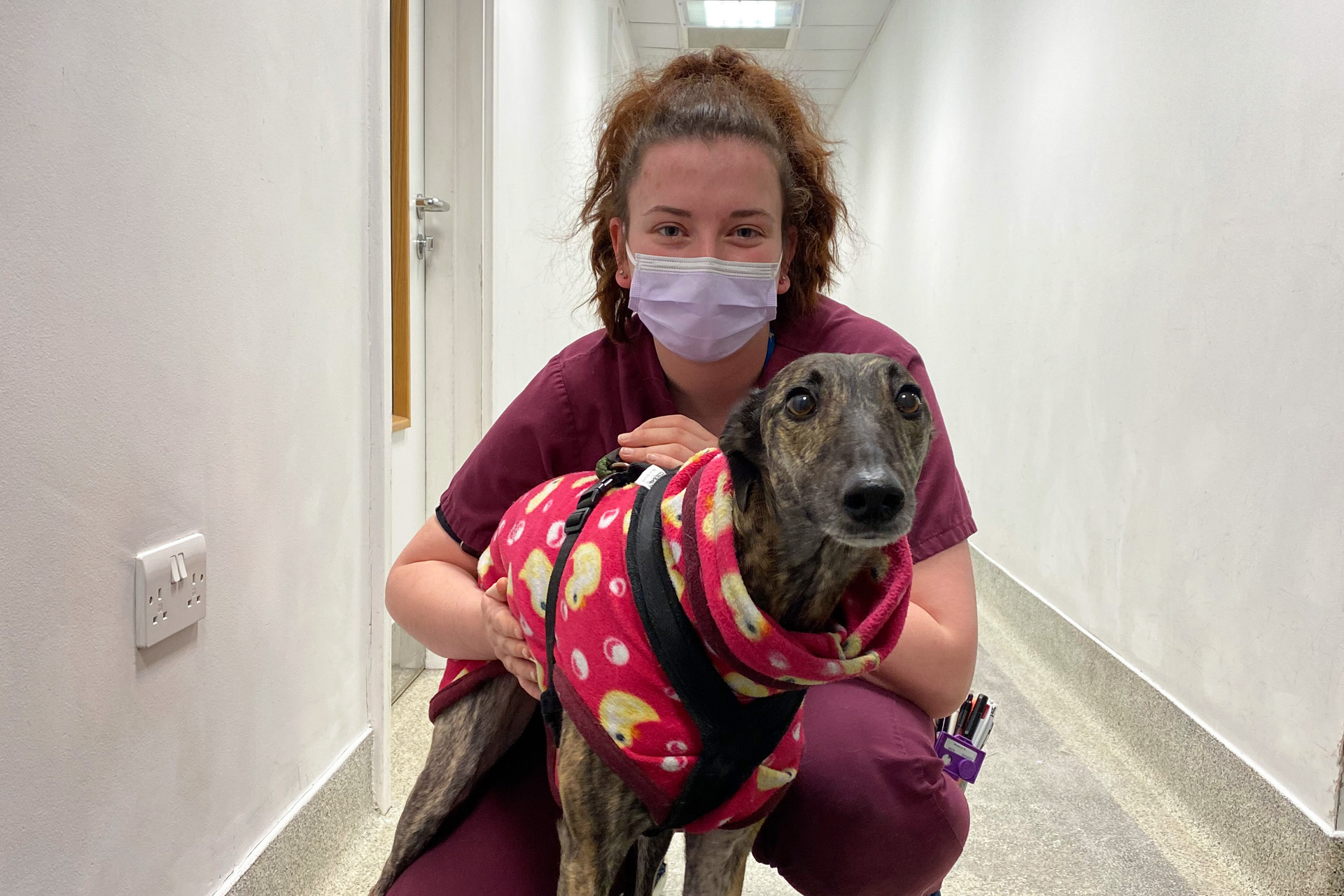 How I got into the veterinary profession by Prep Auxiliary Emily - 13 July 2022 - Fitzpatrick ...