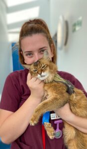 World-Class Veterinary Specialists for Small Animals - Fitzpatrick ...