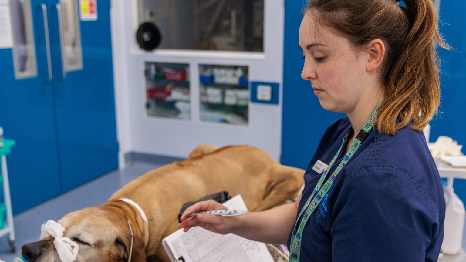 Nursing - Fitzpatrick Referrals