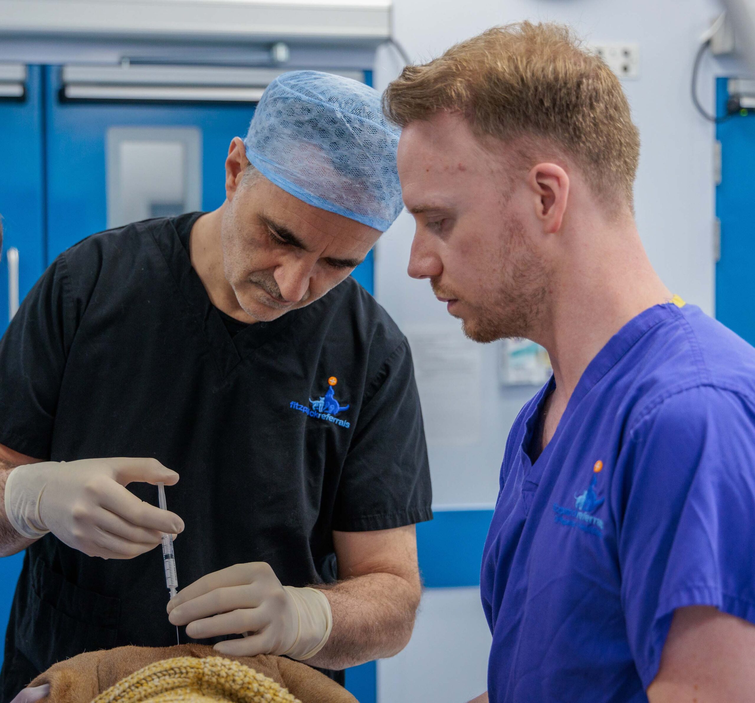 Advanced orthopaedics and neurosurgery service - Fitzpatrick Referrals