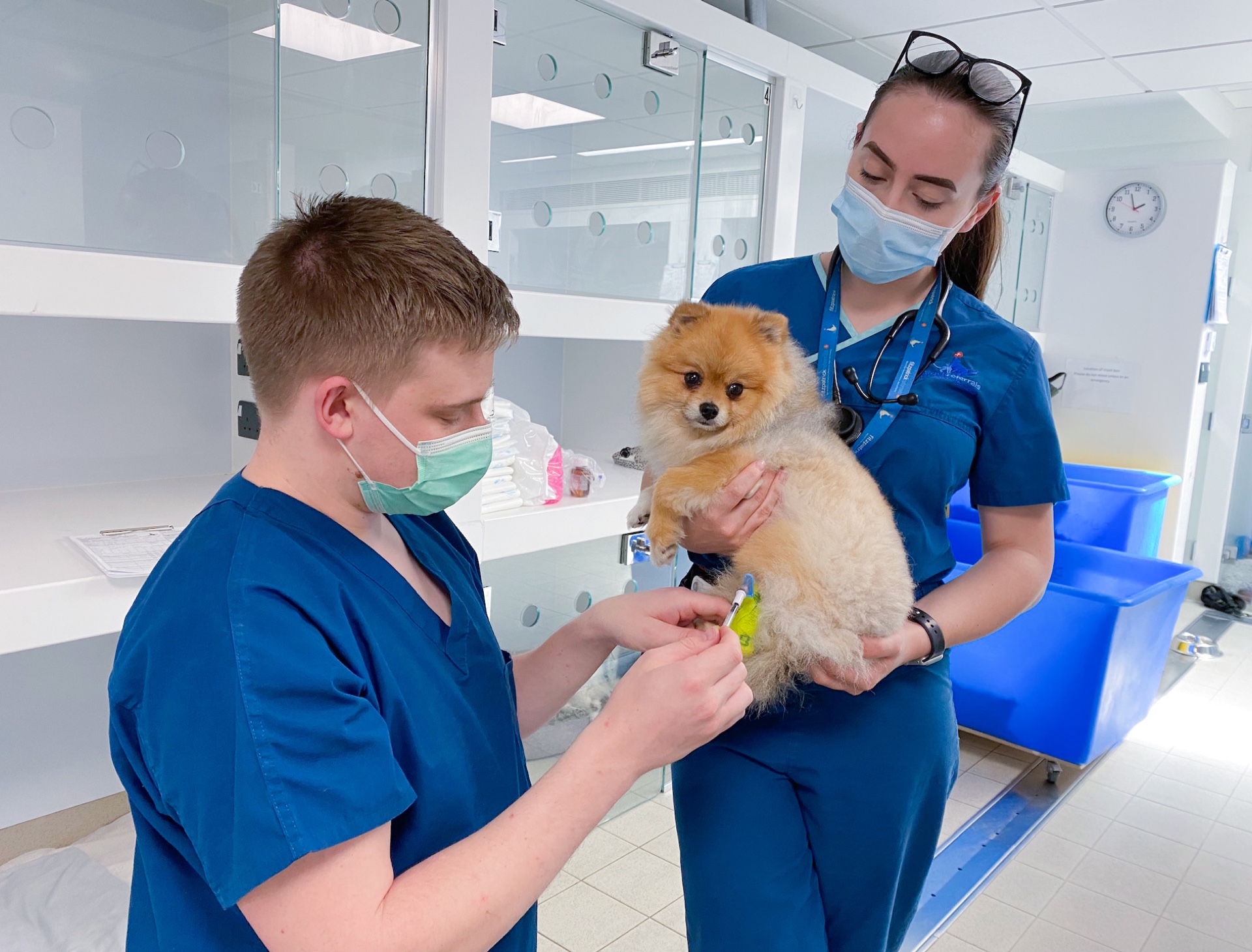 Careers - Fitzpatrick Referrals