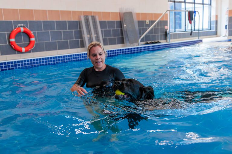 About us - Fitzpatrick Referrals