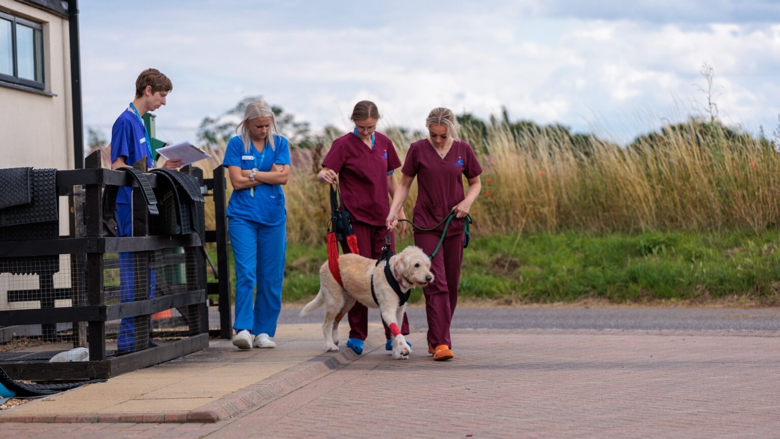 Careers - Fitzpatrick Referrals