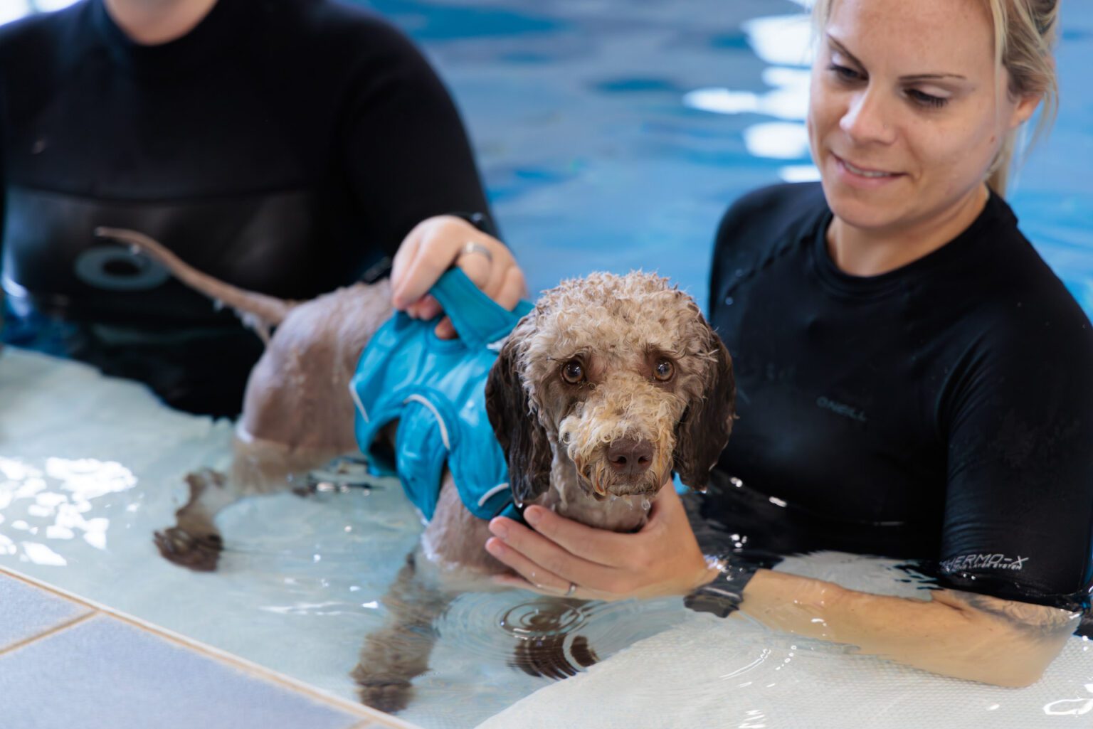 About us - Fitzpatrick Referrals