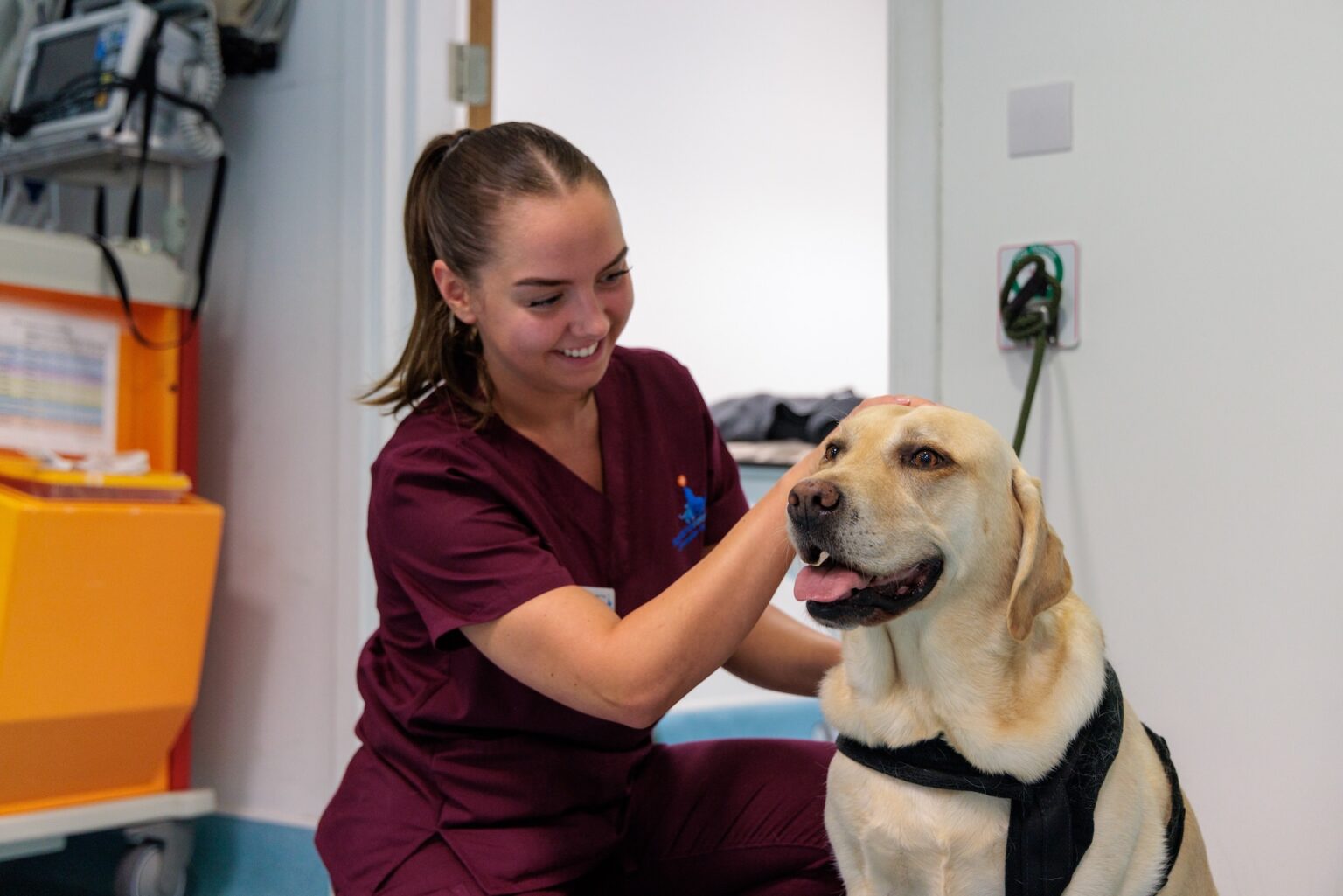 Careers - Fitzpatrick Referrals