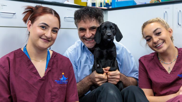 About us - Fitzpatrick Referrals