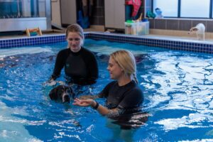 World-Class Veterinary Specialists for Small Animals - Fitzpatrick ...