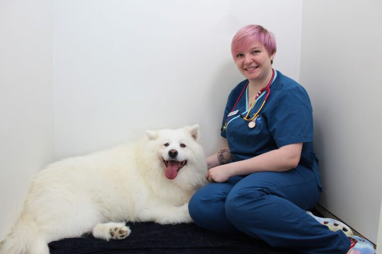 Ward Nurses - Fitzpatrick Referrals