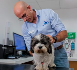 Pet owners - Fitzpatrick Referrals