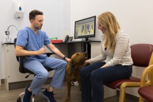 Your visit - Fitzpatrick Referrals