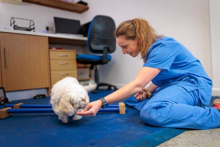 Your visit - Fitzpatrick Referrals