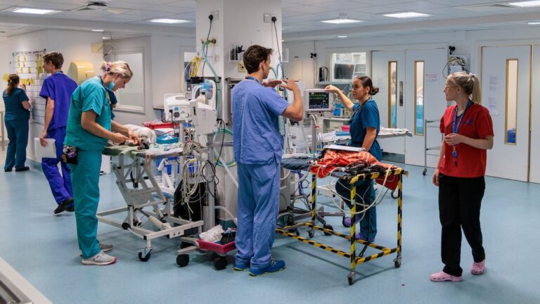 Price guide - Fitzpatrick Referrals