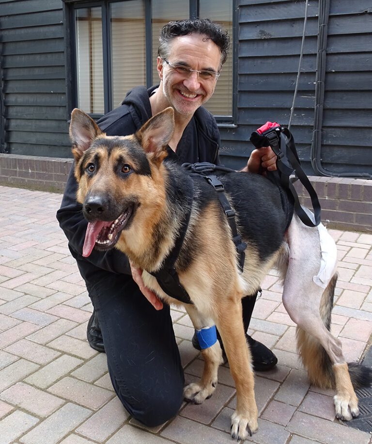 Orthopaedic service - Fitzpatrick Referrals