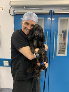 World-Class Veterinary Specialists for Small Animals - Fitzpatrick ...