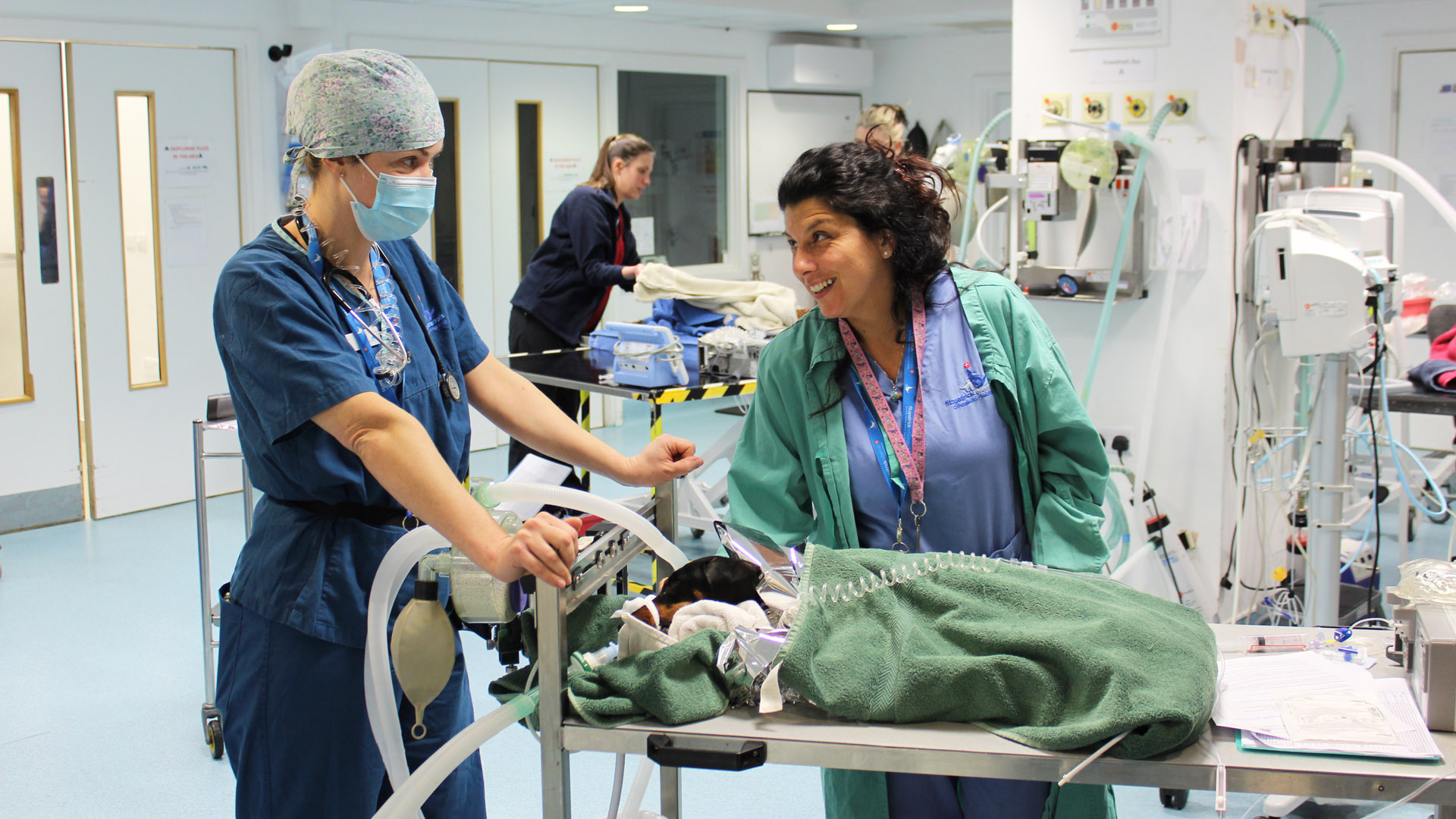 How to be referred - Fitzpatrick Referrals