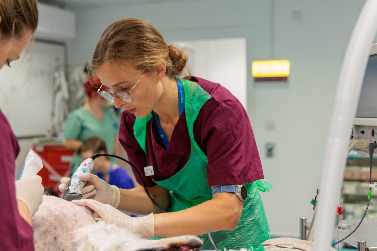 Veterinary Care Assistants & Surgical Technicians - Fitzpatrick Referrals