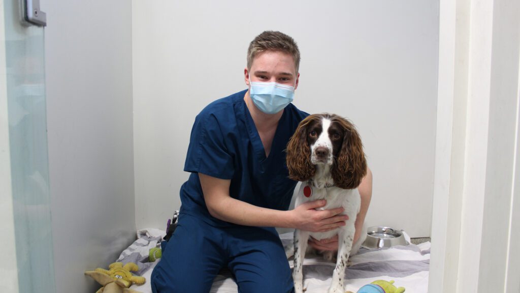 Ward Nurses - Fitzpatrick Referrals