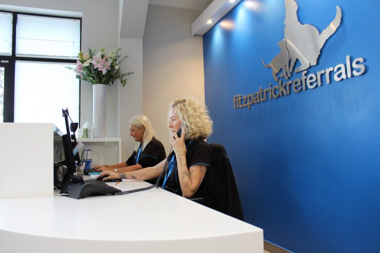 Team - Fitzpatrick Referrals