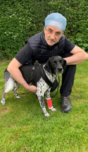 Feline orofacial pain syndrome (FOPS) - Fitzpatrick Referrals