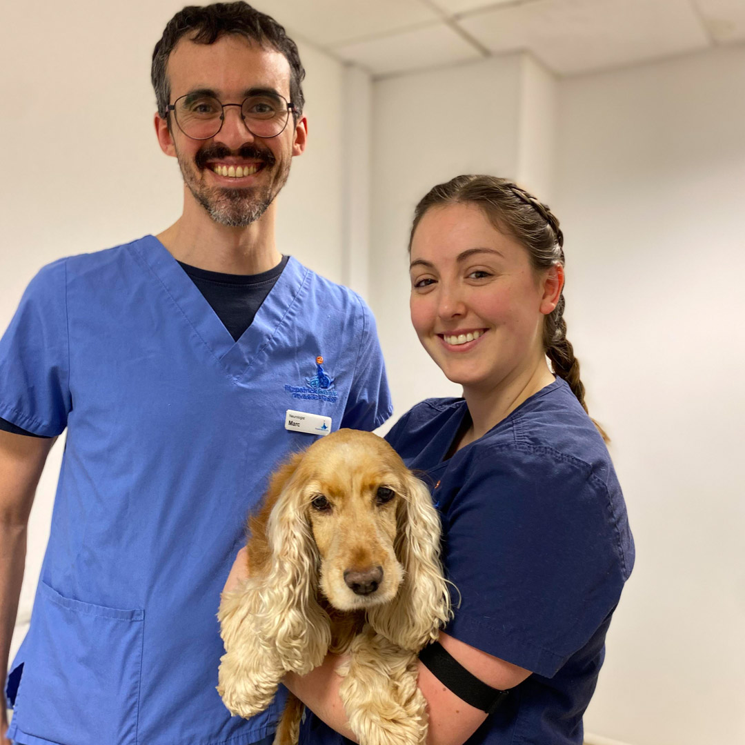 Q & A with Clinical Nurse Lead Fran - 10 October 2024 - Fitzpatrick ...