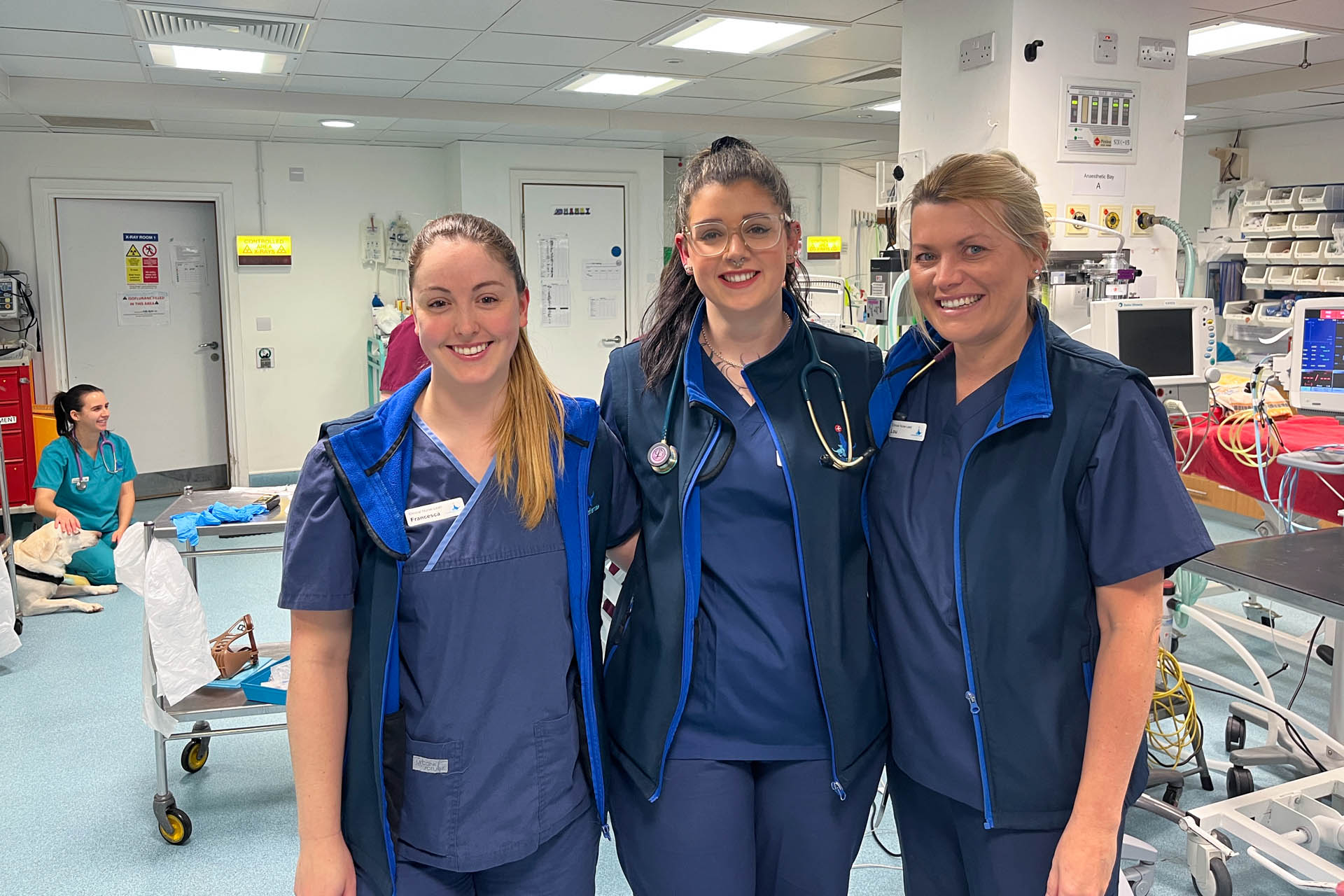 Clinical Nurse Leads - Fitzpatrick Referrals
