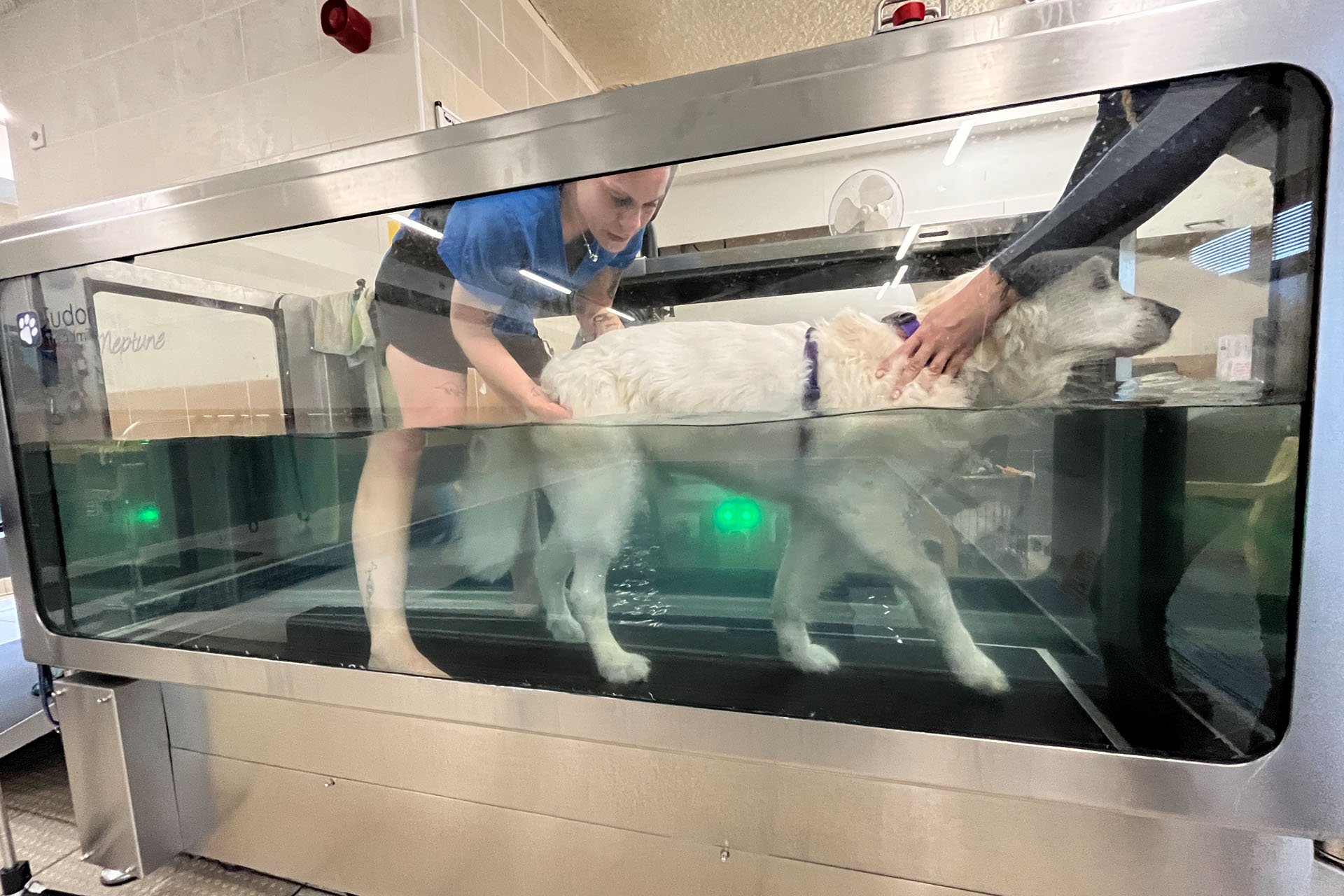 Holly's hydrotherapy rehabilitation after spinal surgery - Fitzpatrick ...
