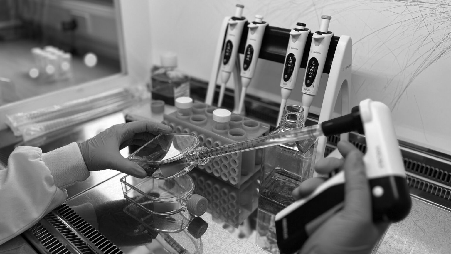 Stem cell therapy - Fitzpatrick Referrals