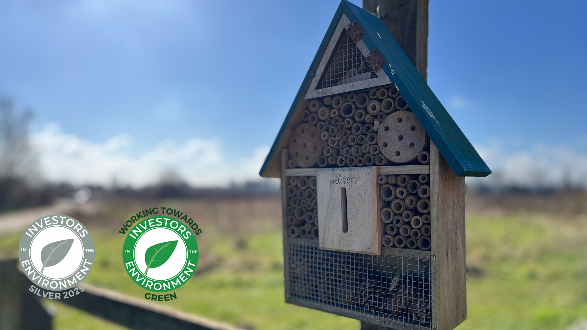 World-Class Veterinary Specialists for Small Animals - Fitzpatrick ...