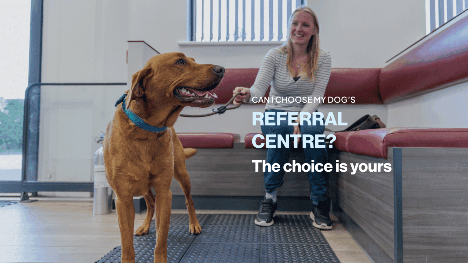 Services - Fitzpatrick Referrals