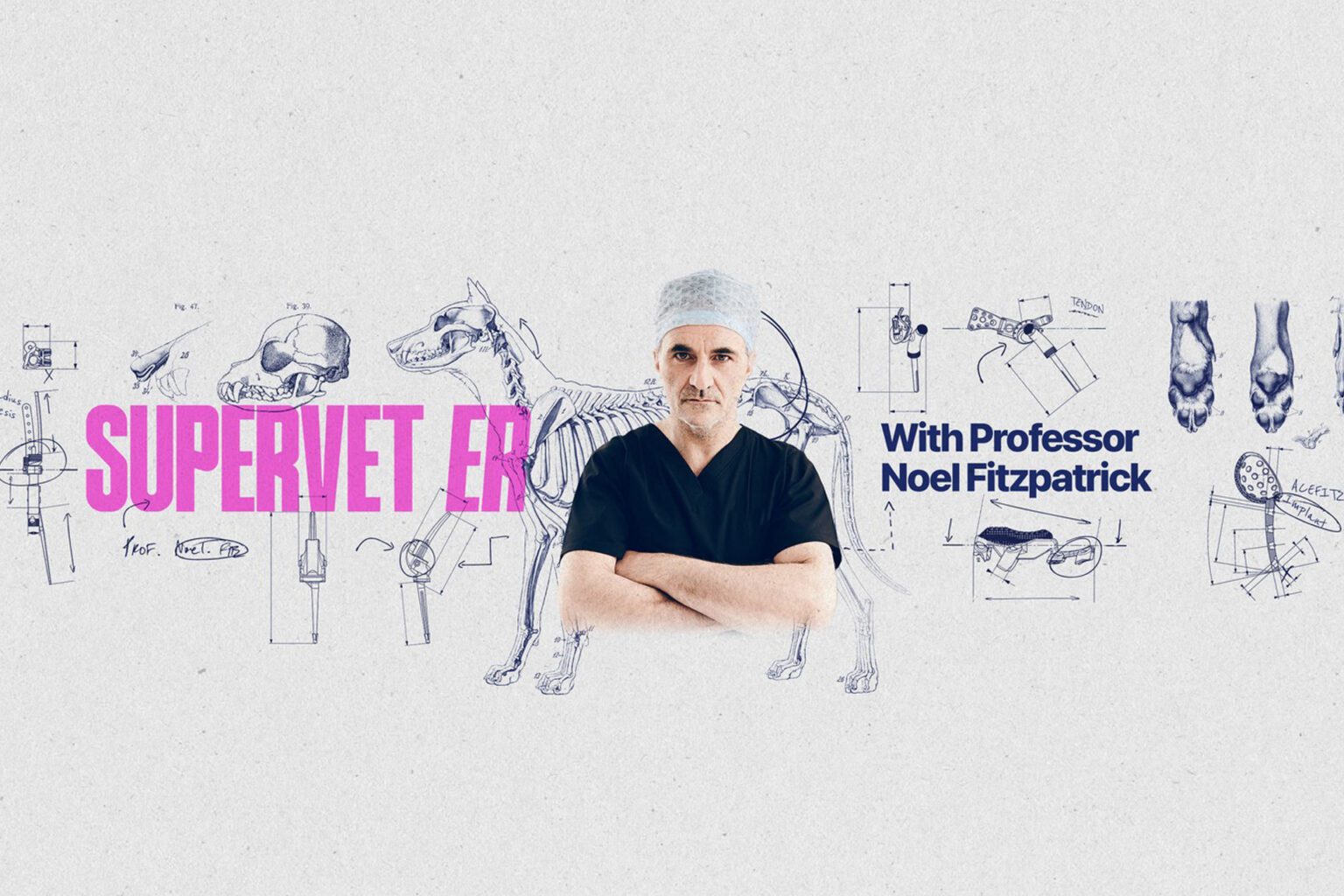 Professor Noel Fitzpatrick - Fitzpatrick Referrals