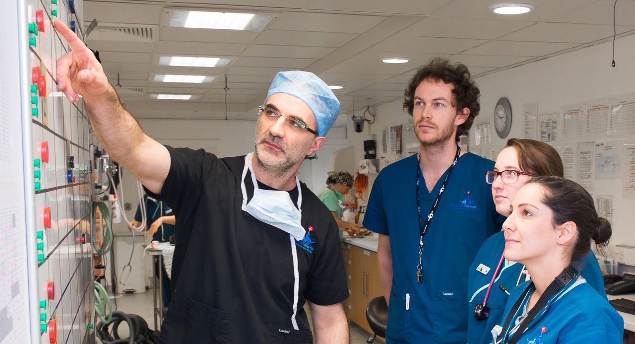 Veterinary Professionals - Fitzpatrick Referrals