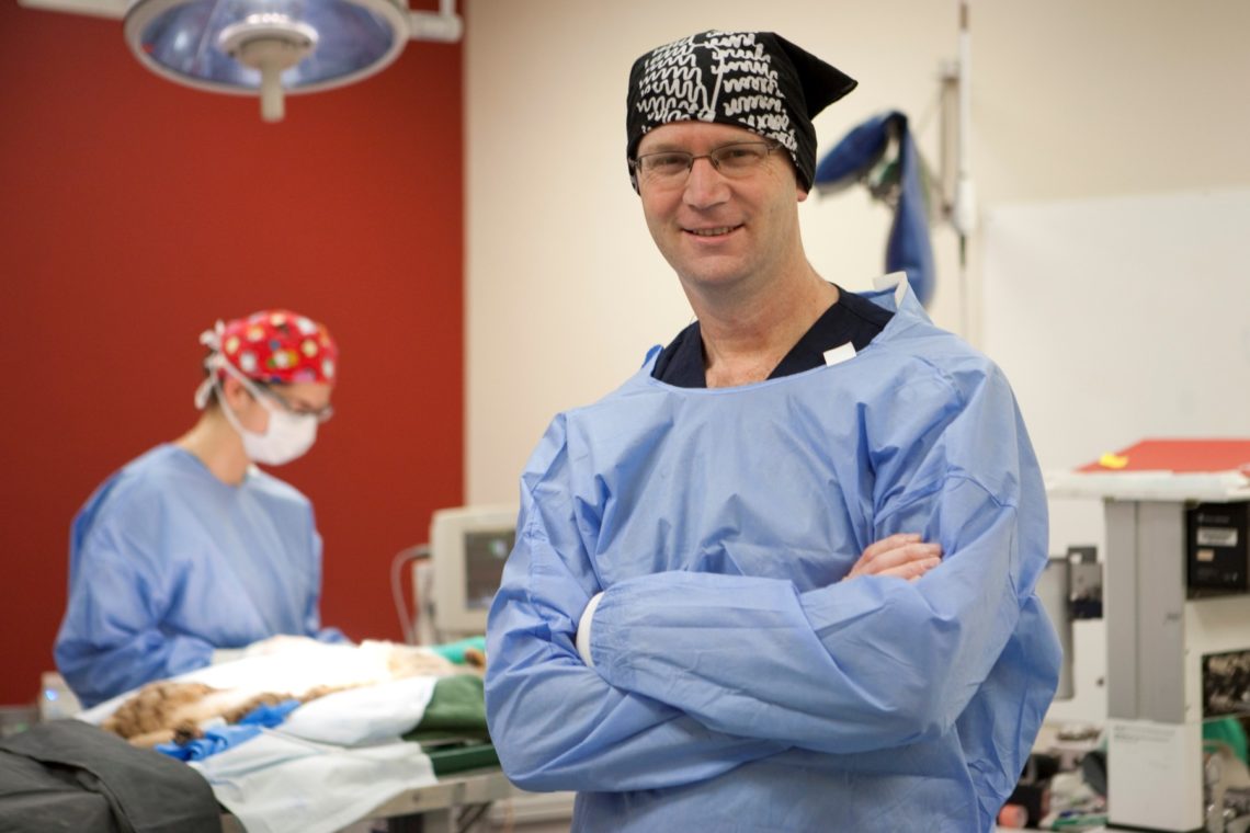 World-renowned specialist in animal cancer Dr Jonathan Bray to ... World-renowned specialist in animal cancer Dr Jonathan Bray to ...