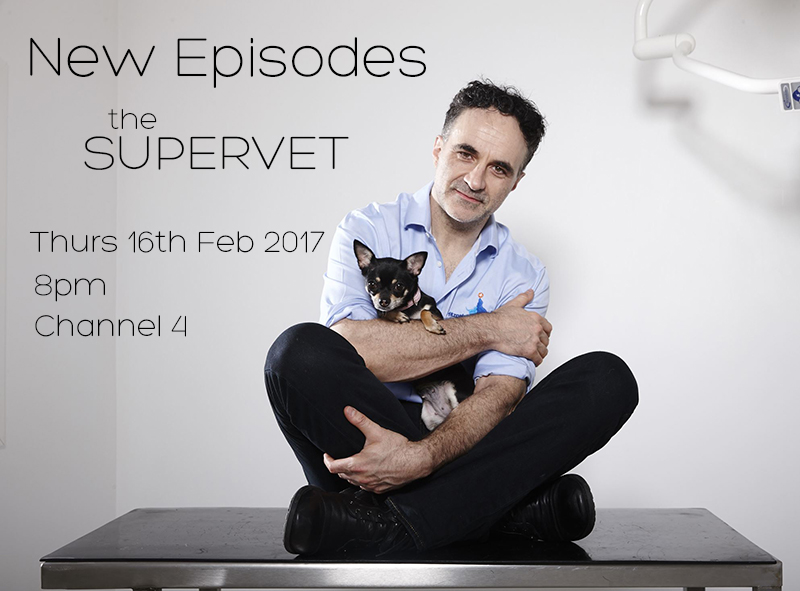The Supervet returns for 2017 - News - Fitzpatrick Referrals