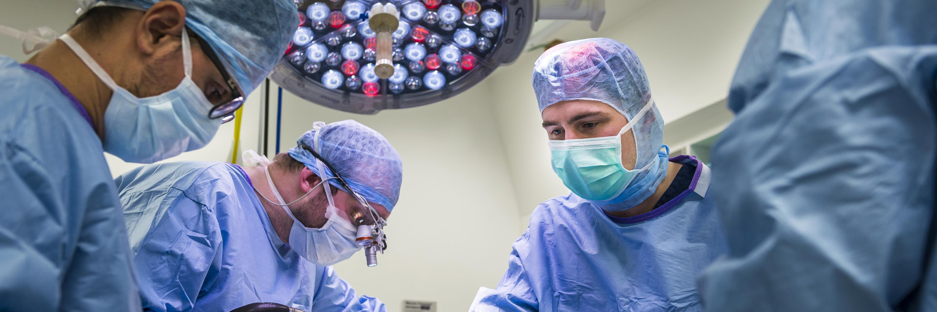 Neurology Service - Fitzpatrick Referrals