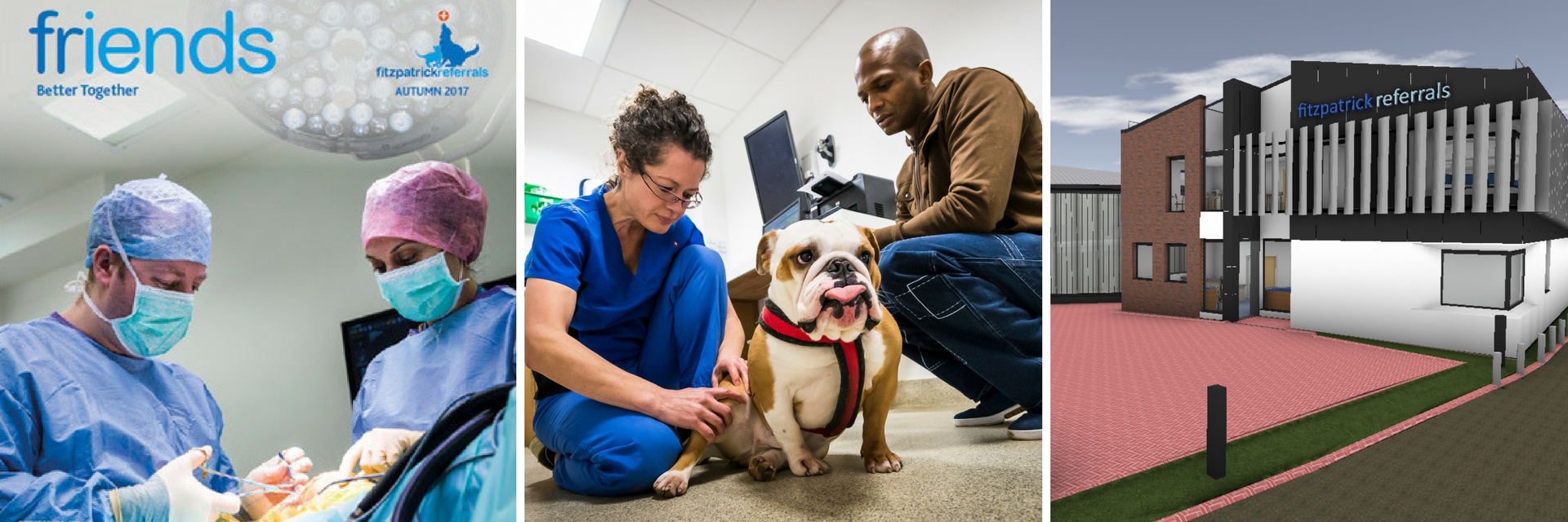 Welcome to the autumn Friends newsletter - Fitzpatrick Referrals