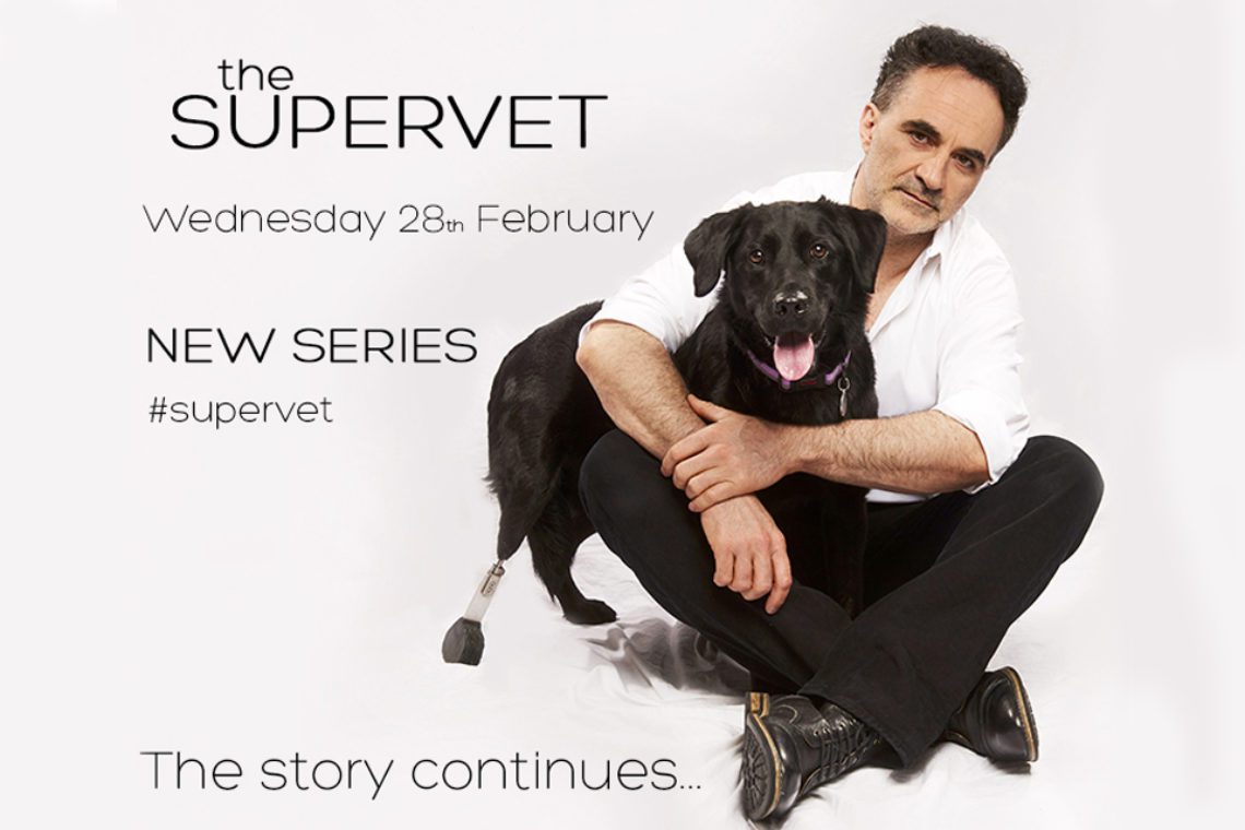 The Supervet returns for series 11 - News - Fitzpatrick Referrals