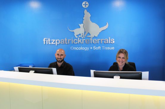 Your Visit - Fitzpatrick Referrals