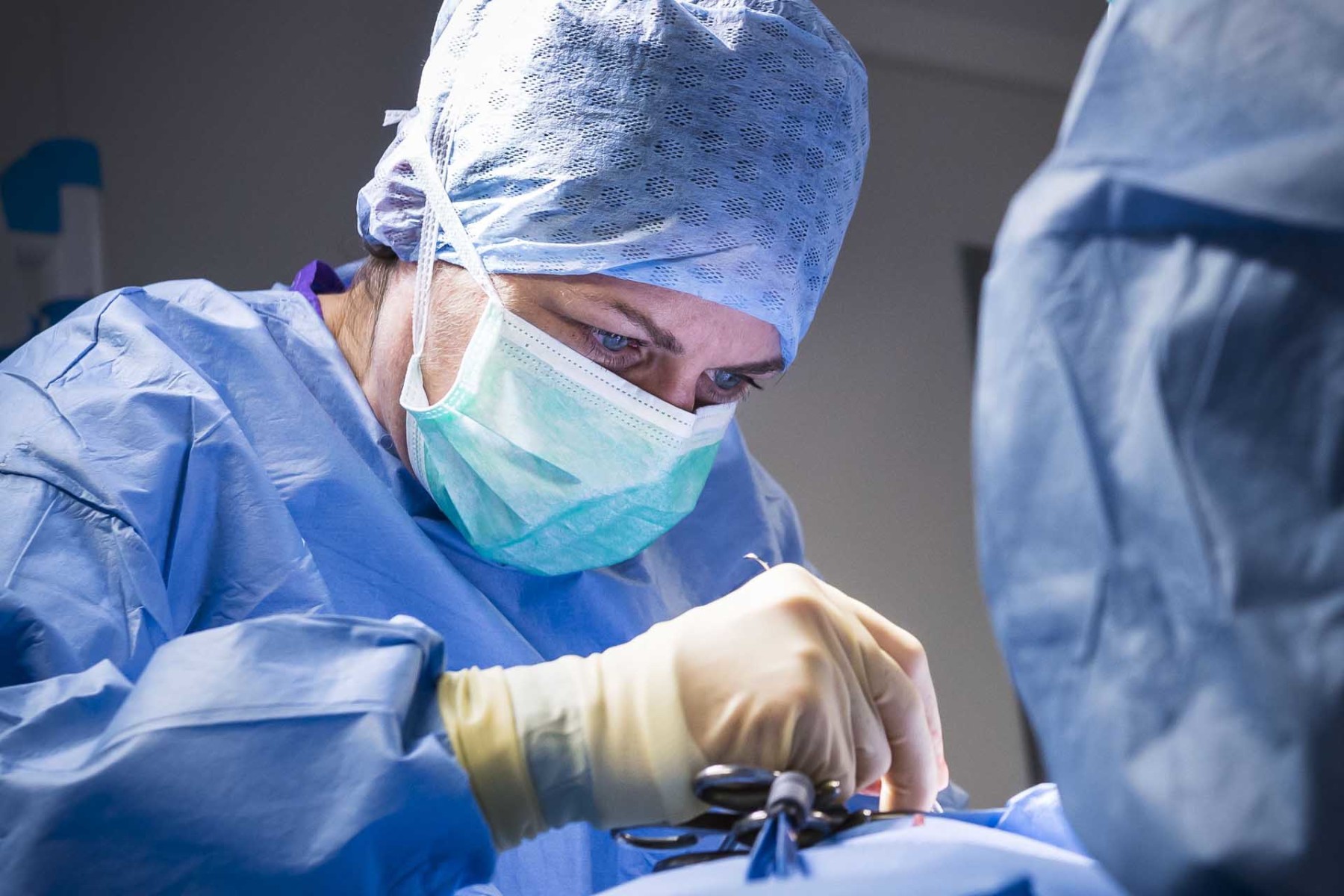 Neurology Service - Fitzpatrick Referrals