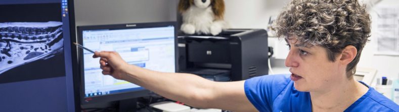 Neurology Service - Fitzpatrick Referrals