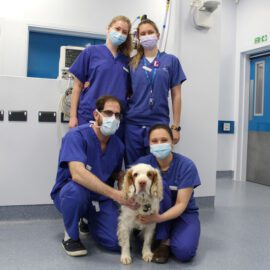 Neurology Service - Fitzpatrick Referrals