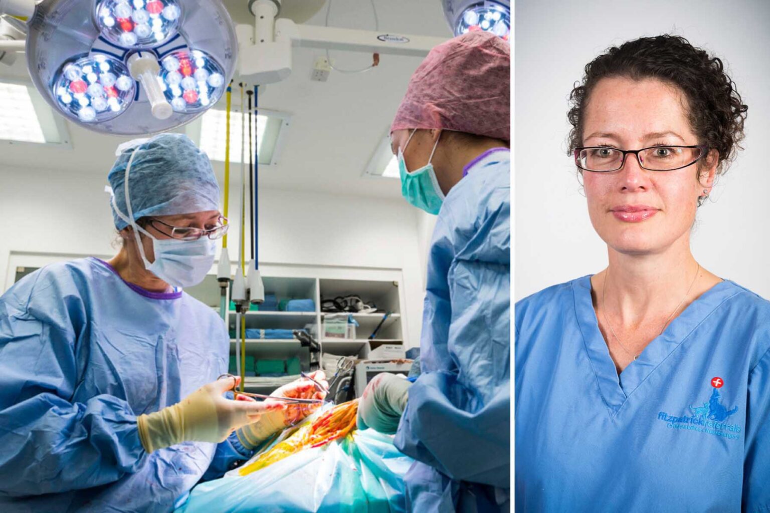 World-Class Veterinary Specialists for Small Animals - Fitzpatrick ...