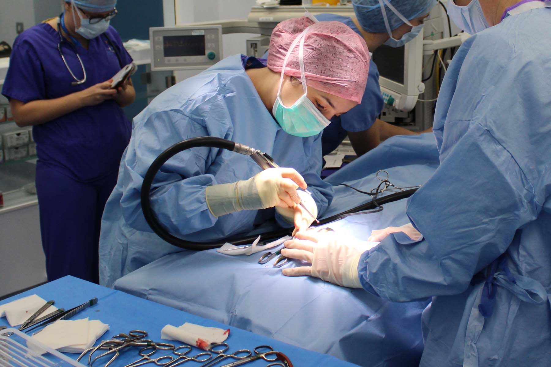 Neurology service - Fitzpatrick Referrals