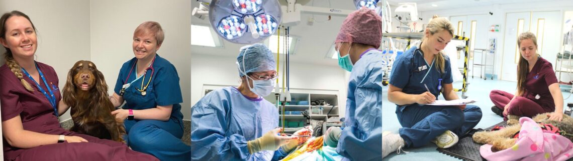 Careers - Fitzpatrick Referrals