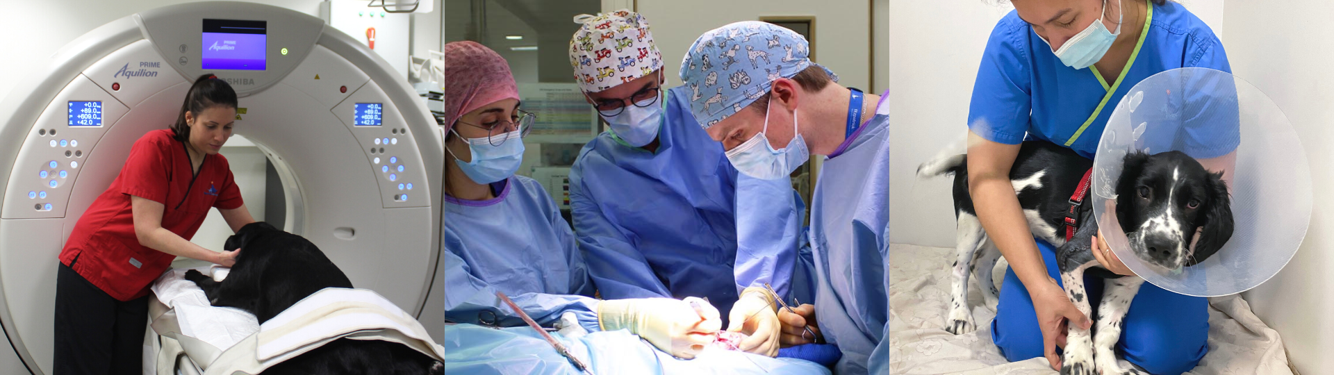 Job vacancies - Fitzpatrick Referrals