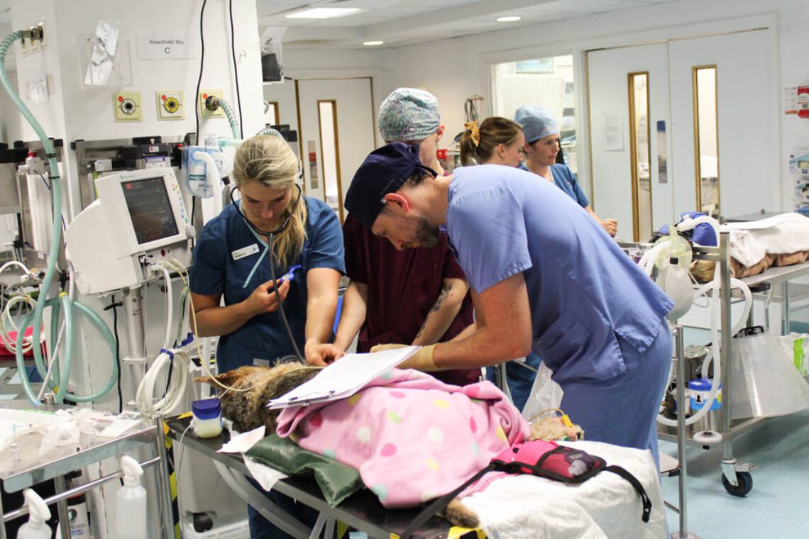 Visit us - Fitzpatrick Referrals